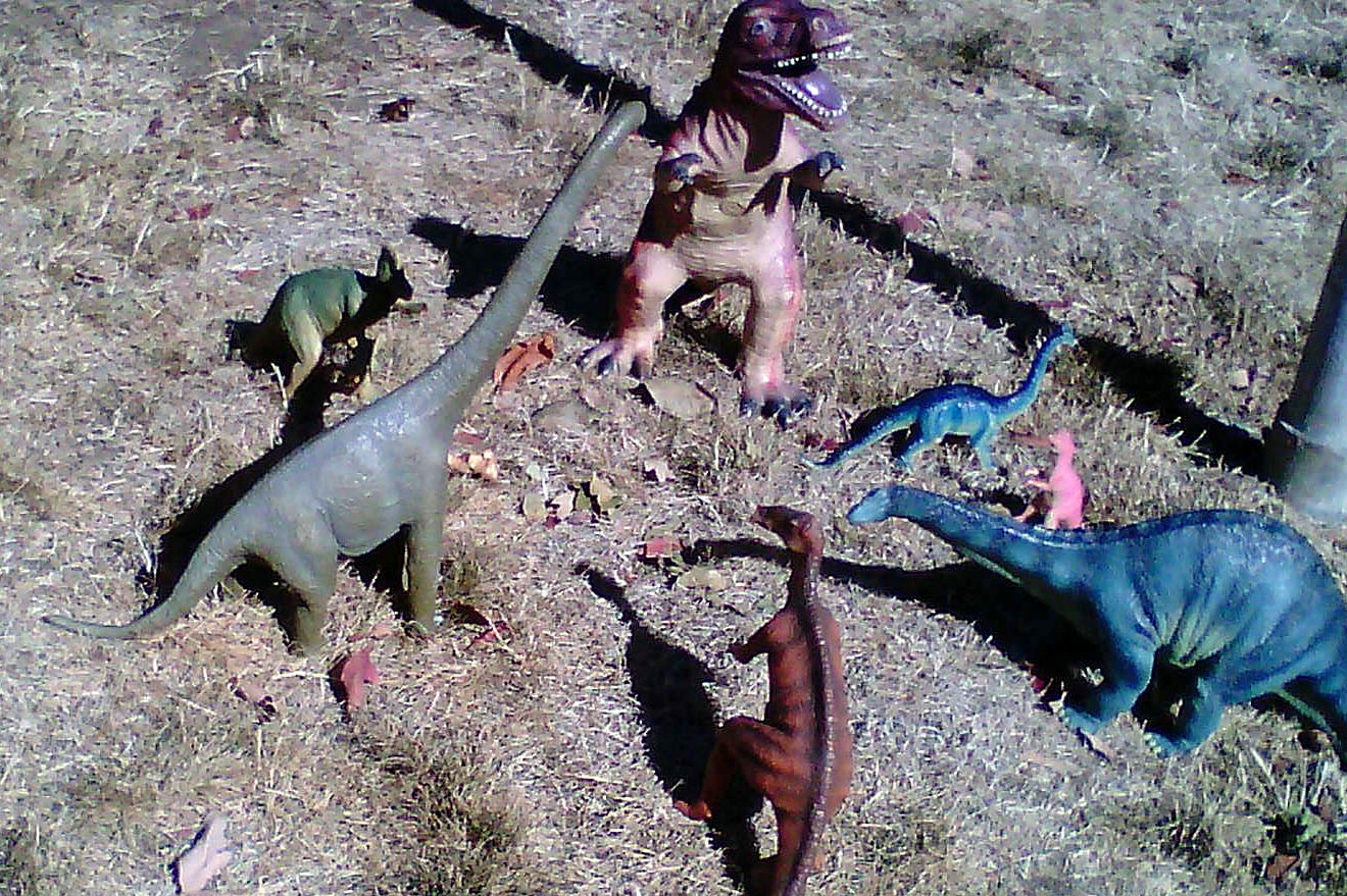 ZEN ZINGER | chocofigbee